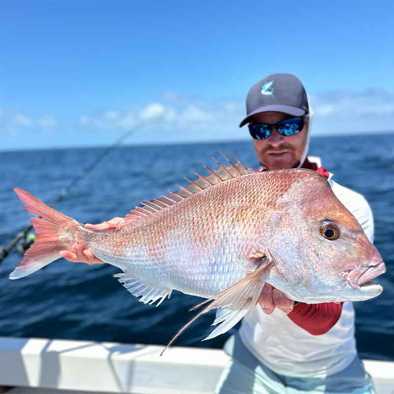 Active Anchors Pty Ltd